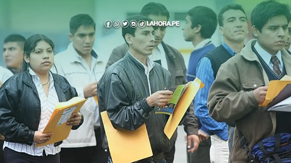 Convocatorias CAS febrero 2024: ¿Qué profesionales necesitan y de cuánto es el sueldo?